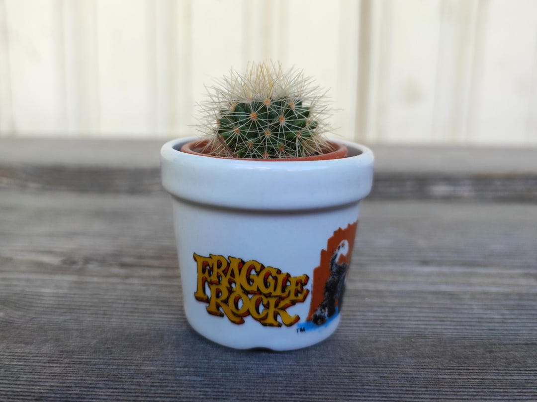 Ultra Rare 1985 Fraggle Rock Ceramic Flower Pot – Vintage Mini ...