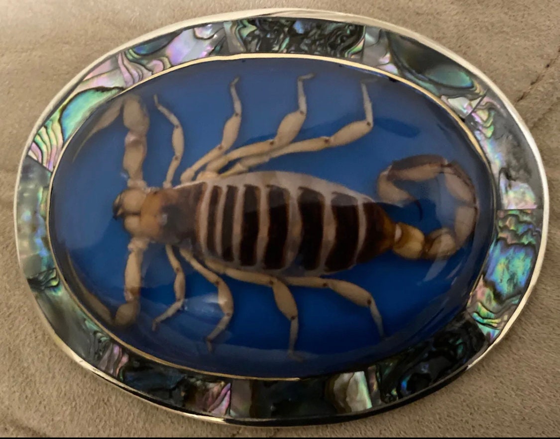 Vintage Mexico Silver Alpaca Belt Buckle W/ Genuine Scorpion & Abalone ...