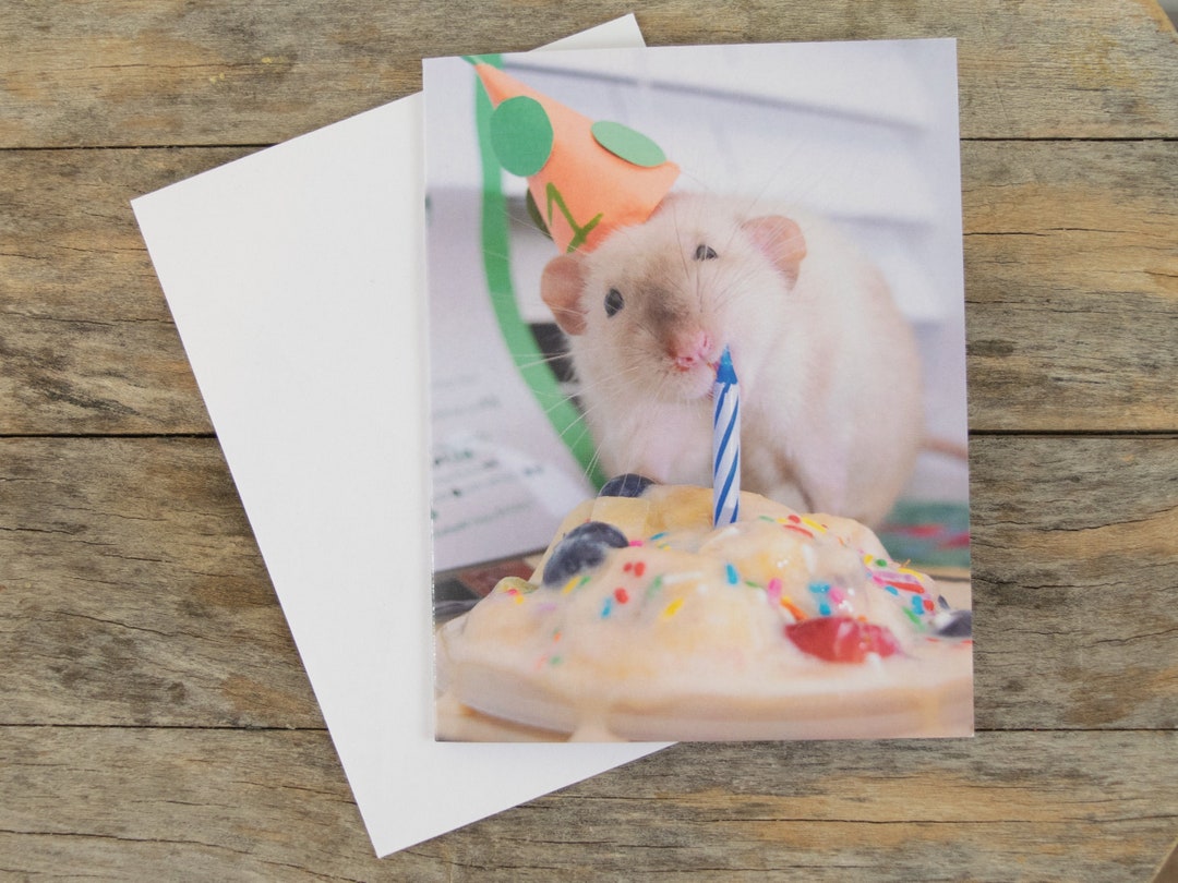 Cute Rat Birthday Card - "happy Birthday - Time to Dig In!" - Etsy