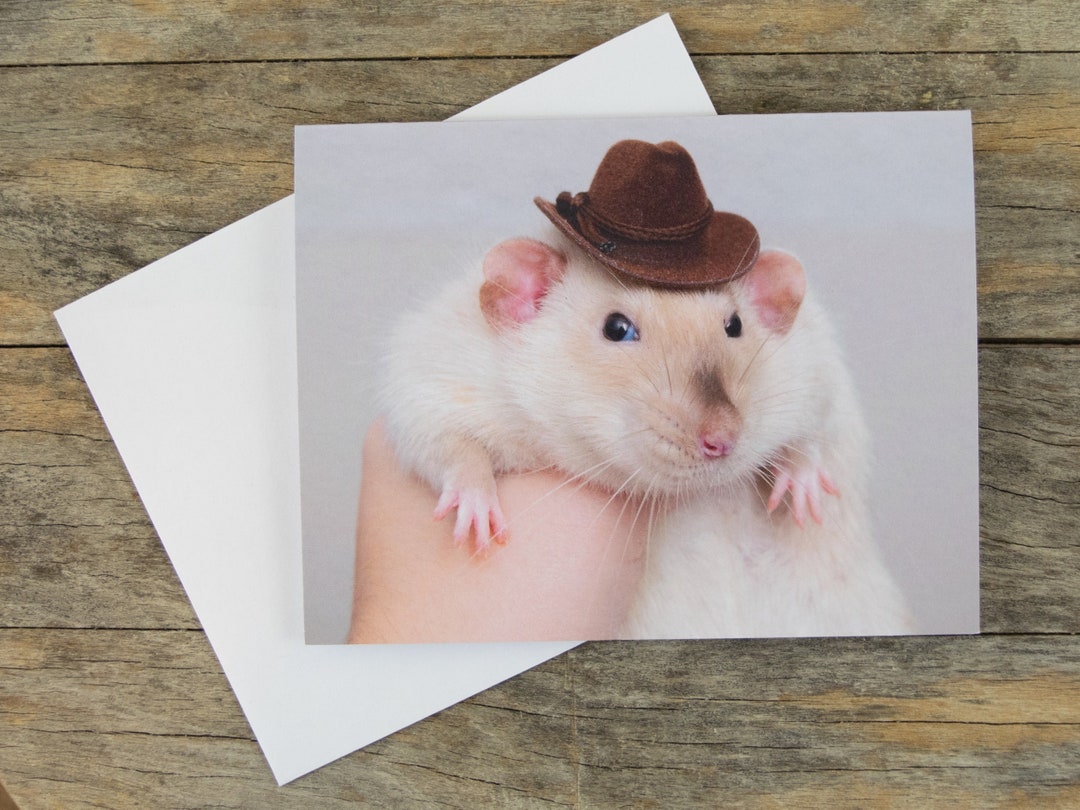 Howdy Cowboy Rat Meme Greeting Card | Pet Rat Gifts | Rat Mom | Rat Dad ...