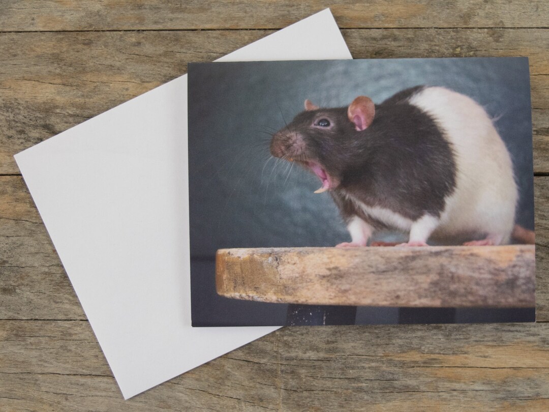 Funny Rat Greeting Card - "[eternal Screaming]" - Etsy