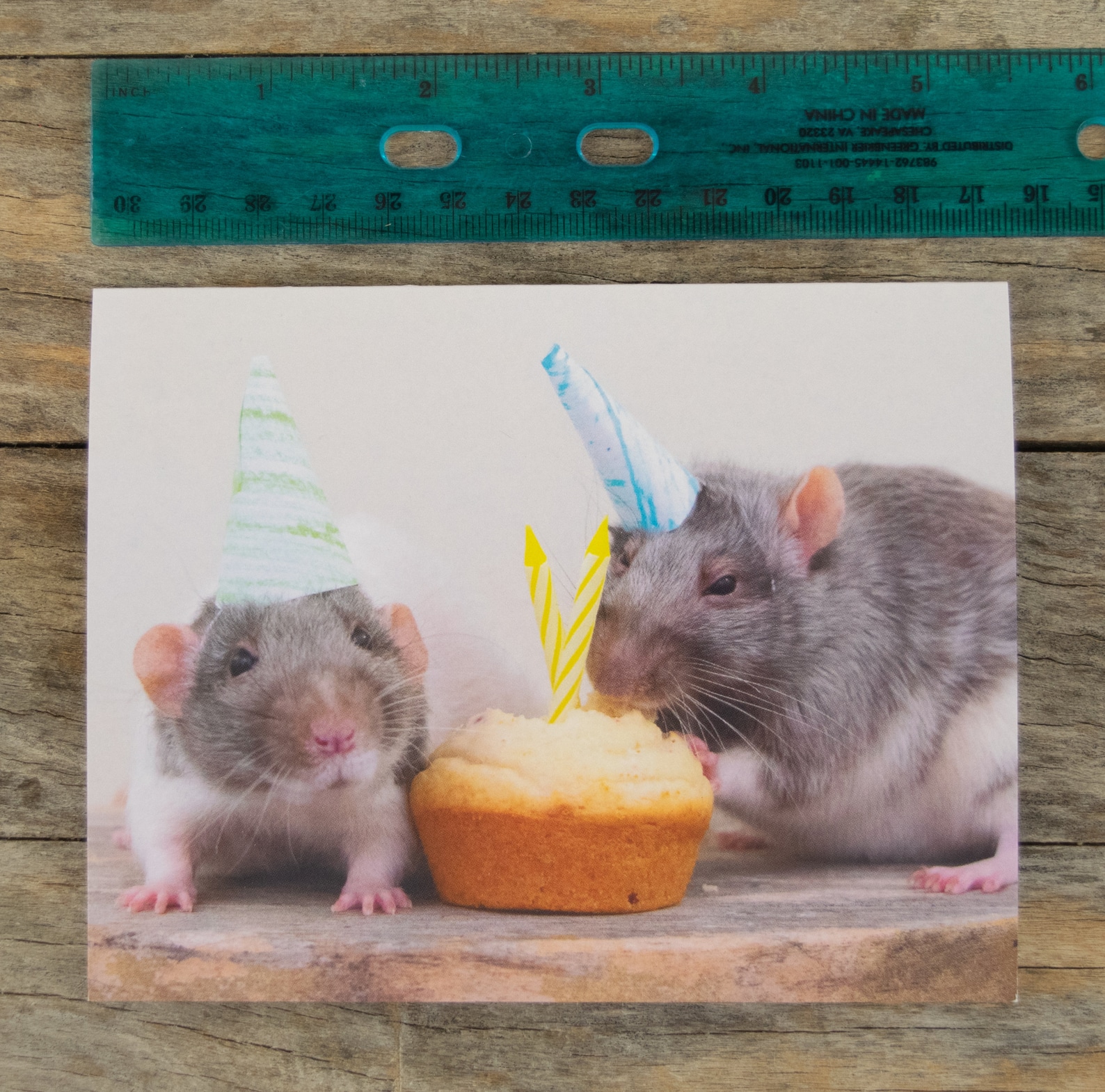 Cute Rat Birthday Card - "happy Birthday! Have a Great Day!" - Etsy