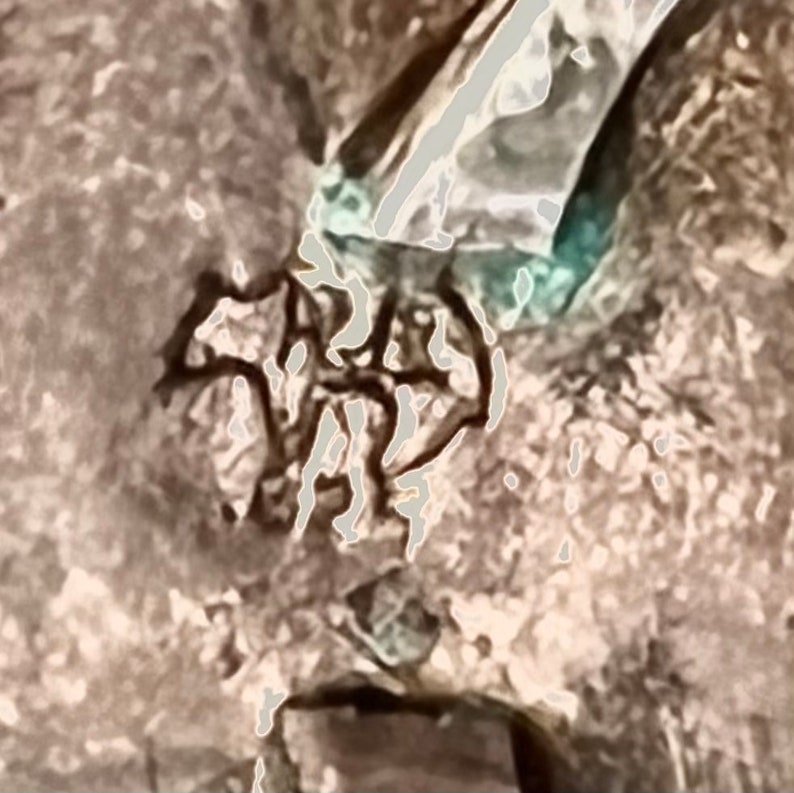 Old Pawn Navajo Carico Lake Turquoise/faustite Sterling Silver Ring - Etsy
