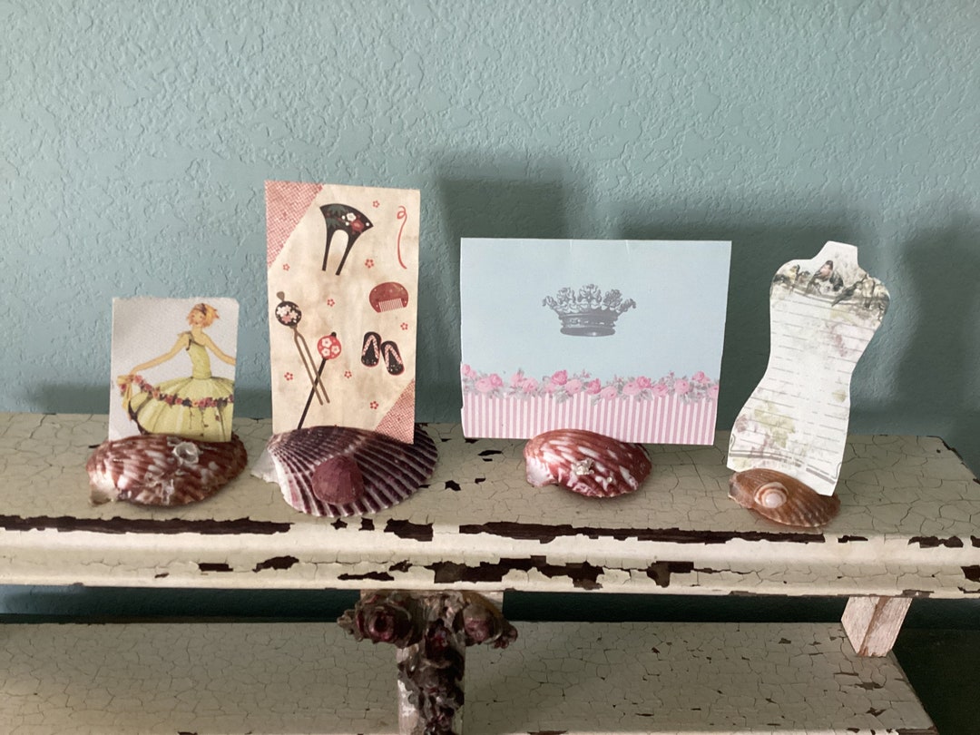 Sea Shell Card Holder Lot 4 Crusted Coral and Attached Small - Etsy