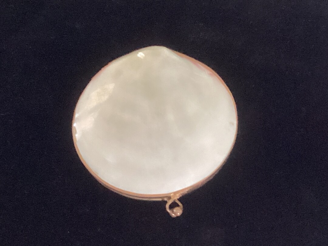 REDUCED! Antique Shell Coin Purse With Brass Casing, Kiss Lock and ...