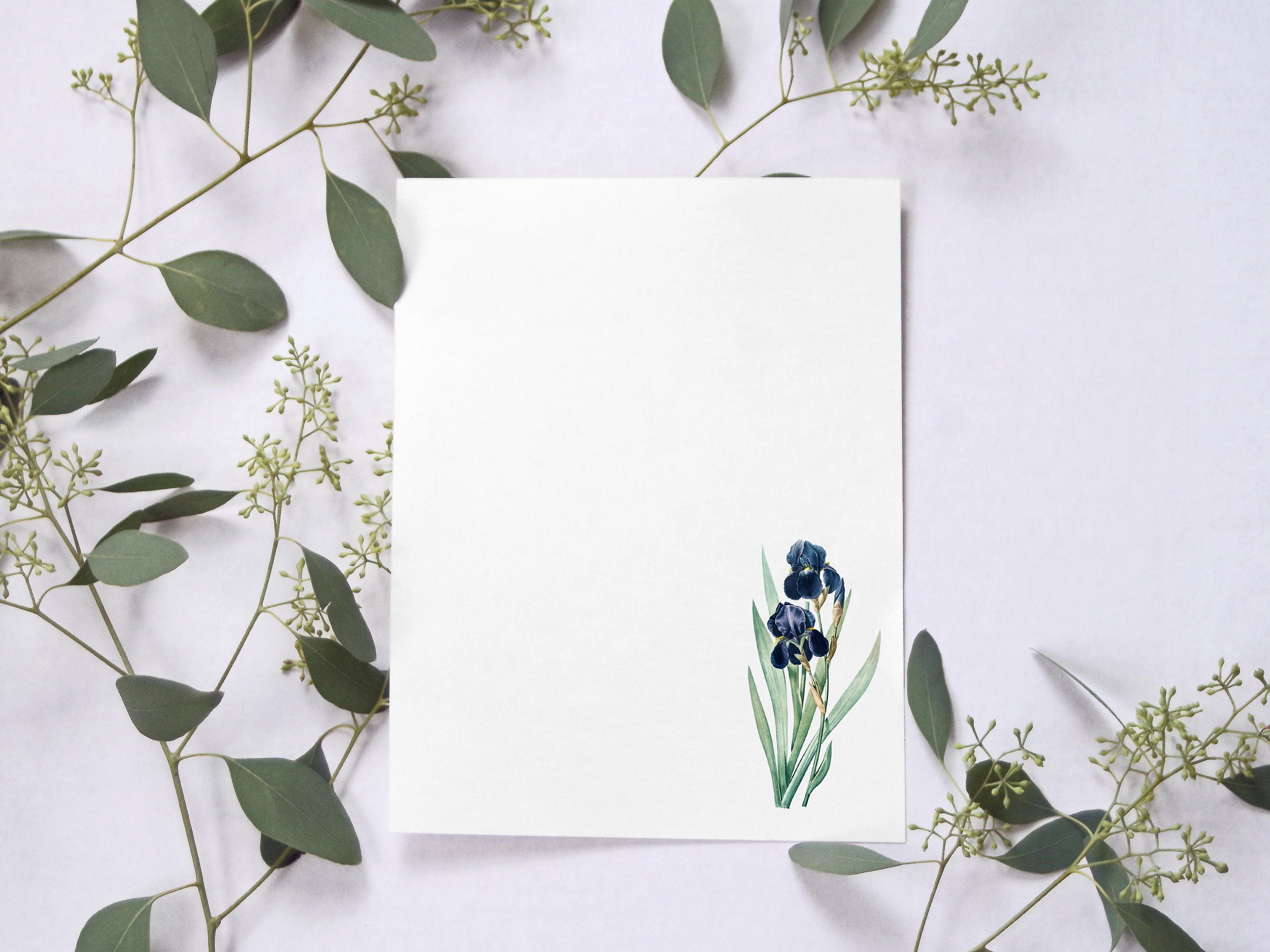 Blue Iris Botanical Illustration Flower Printable Stationary DIGITAL ...