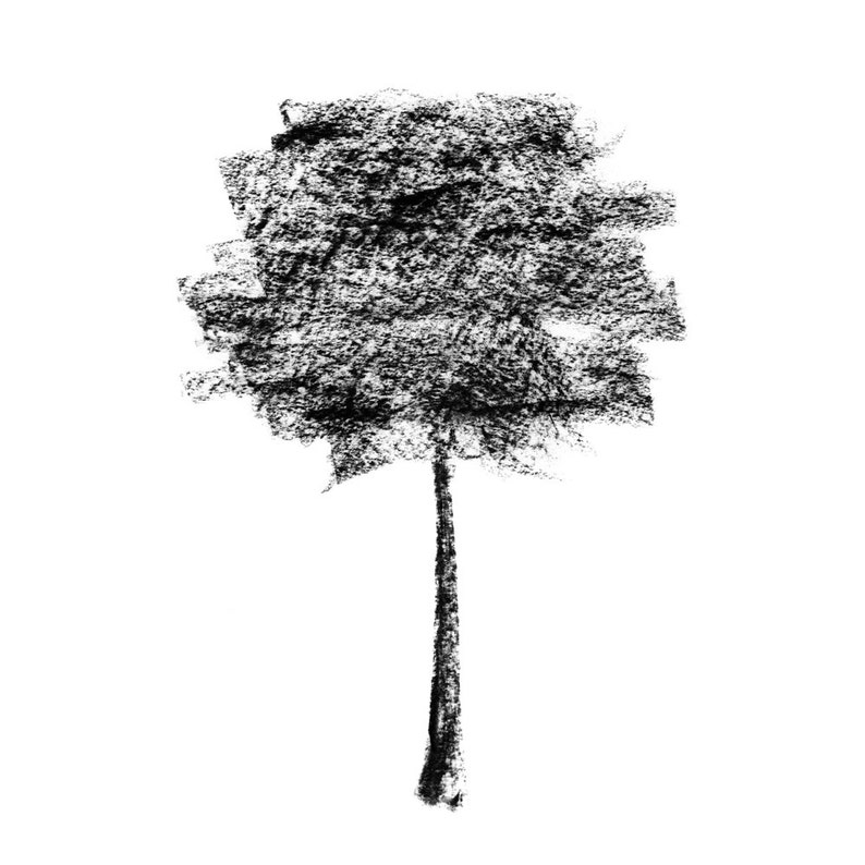 Black Tree Charcoal Drawing Minimalist Art Print Tree Poster Etsy