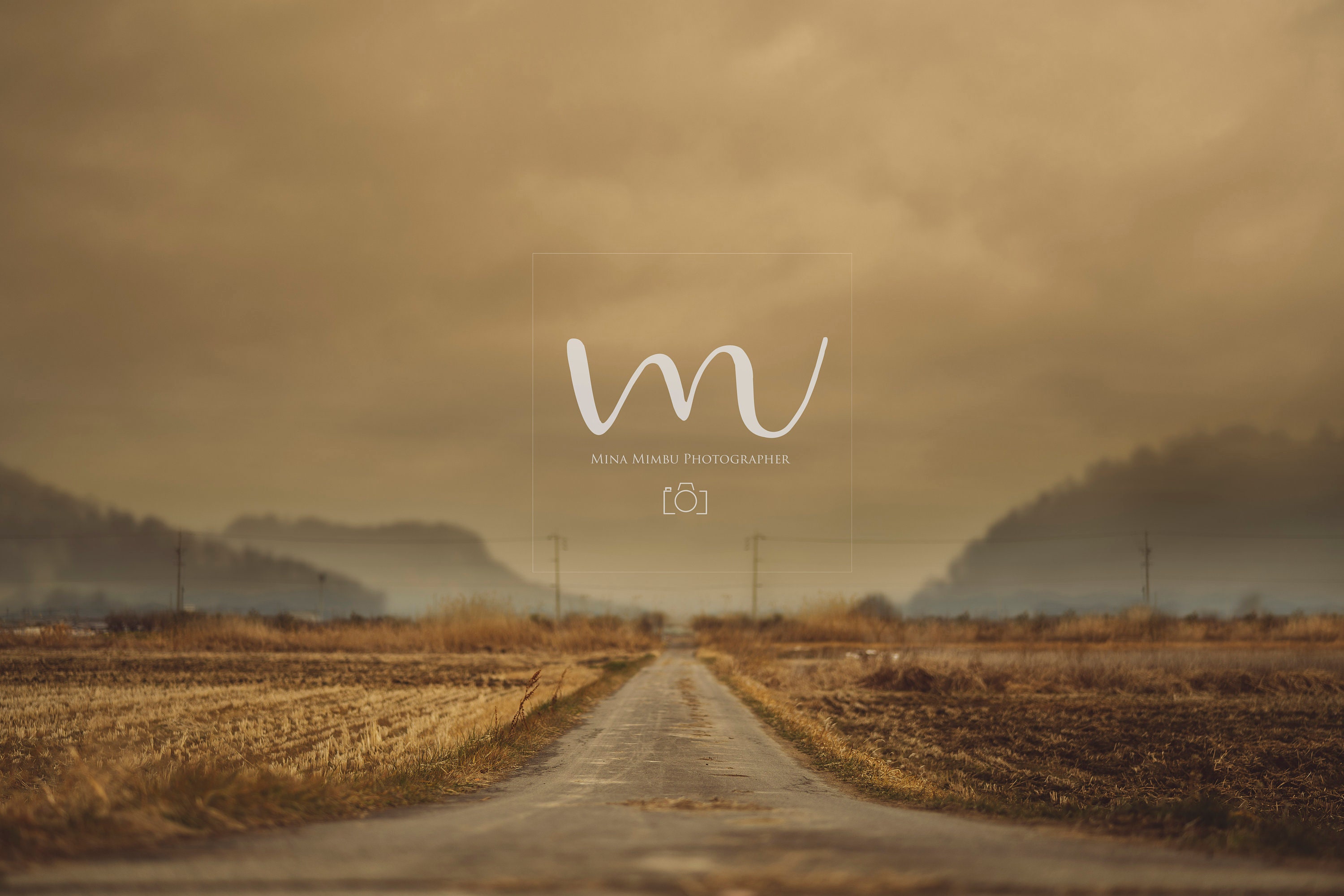 Country Road Digital Background | Etsy