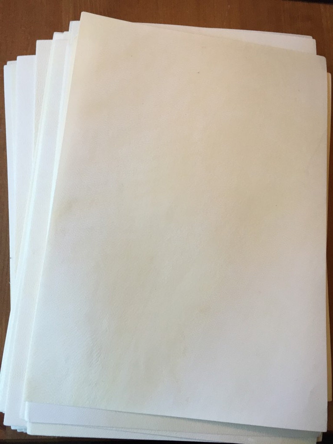 Real Parchment - Etsy