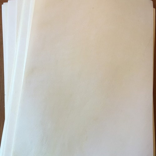 White Natural Goatskin Parchment Vellum Real Parchment - Etsy