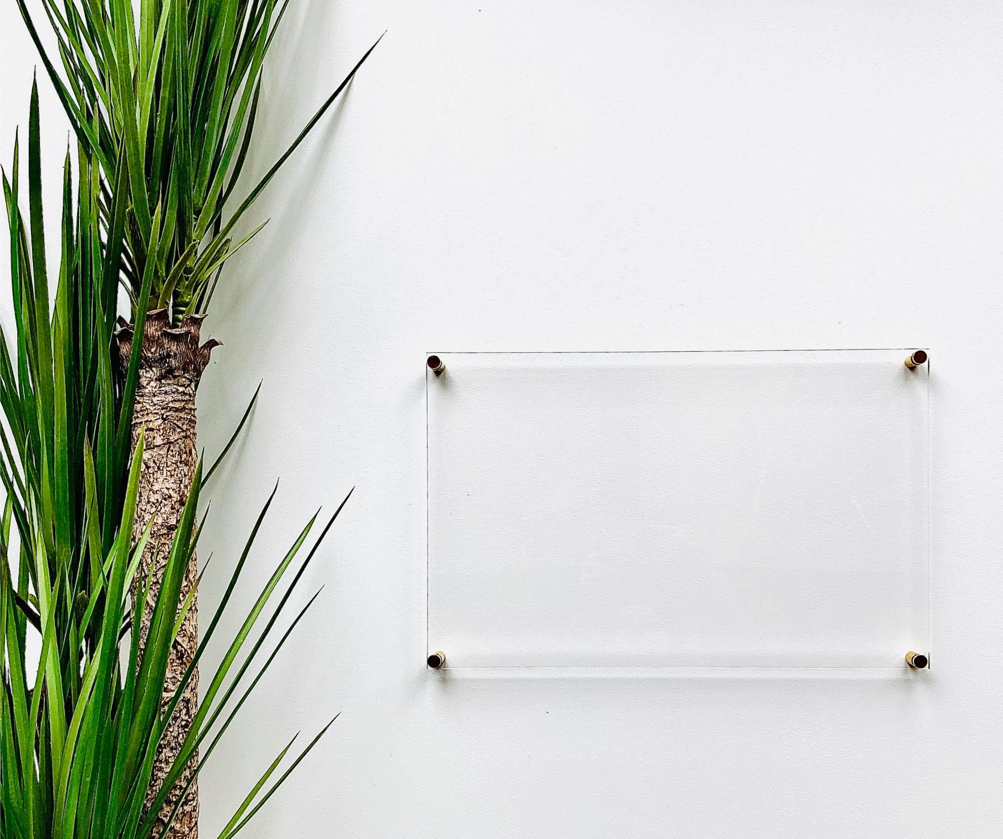 Blank Acrylic Dry Erase Writing Board With Standoffs Wall | Etsy