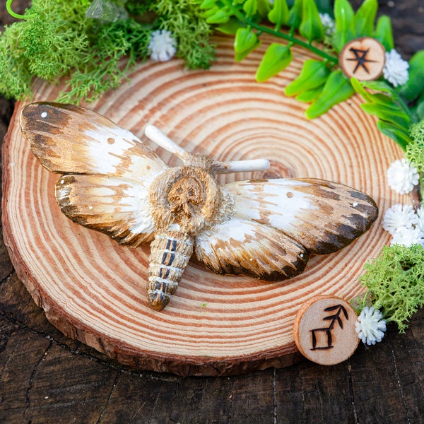 Deaths Head Hawkmoth - Etsy