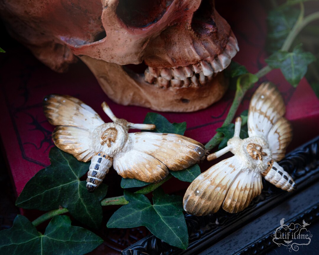 Large Death's Head Hawkmoth Brooch - White / Bronze / Gold - Moth ...