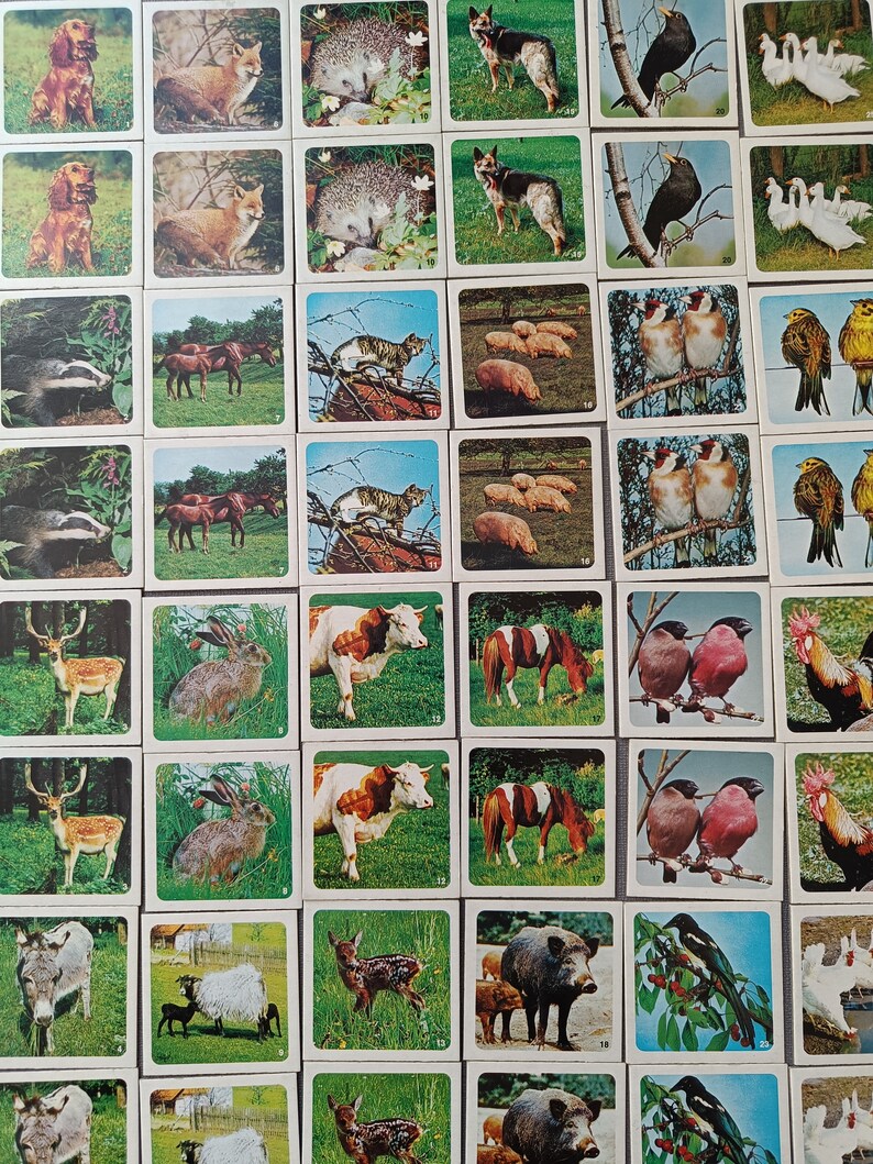 Retro Nature Memory Game Complete Ravensburger Nature Memory Game Cards ...