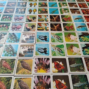 Retro Nature Memory Game Complete Ravensburger Nature Memory Game Cards ...