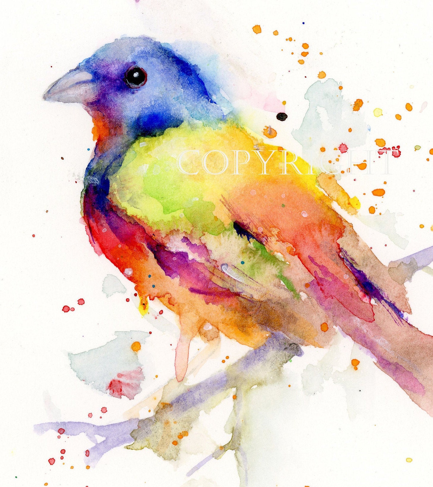 LITTLE BIRD Watercolor Print Small Bird Painting | Etsy