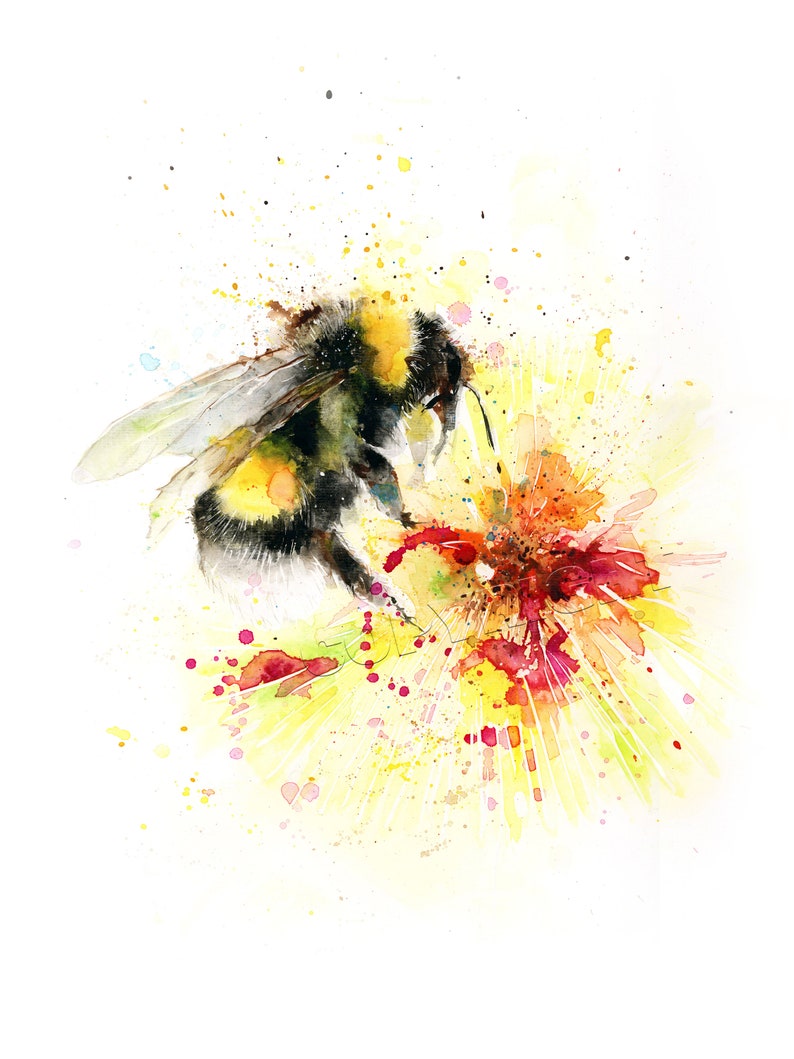 BUMBLE BEE Watercolor Print Flower Painting Insects Art | Etsy