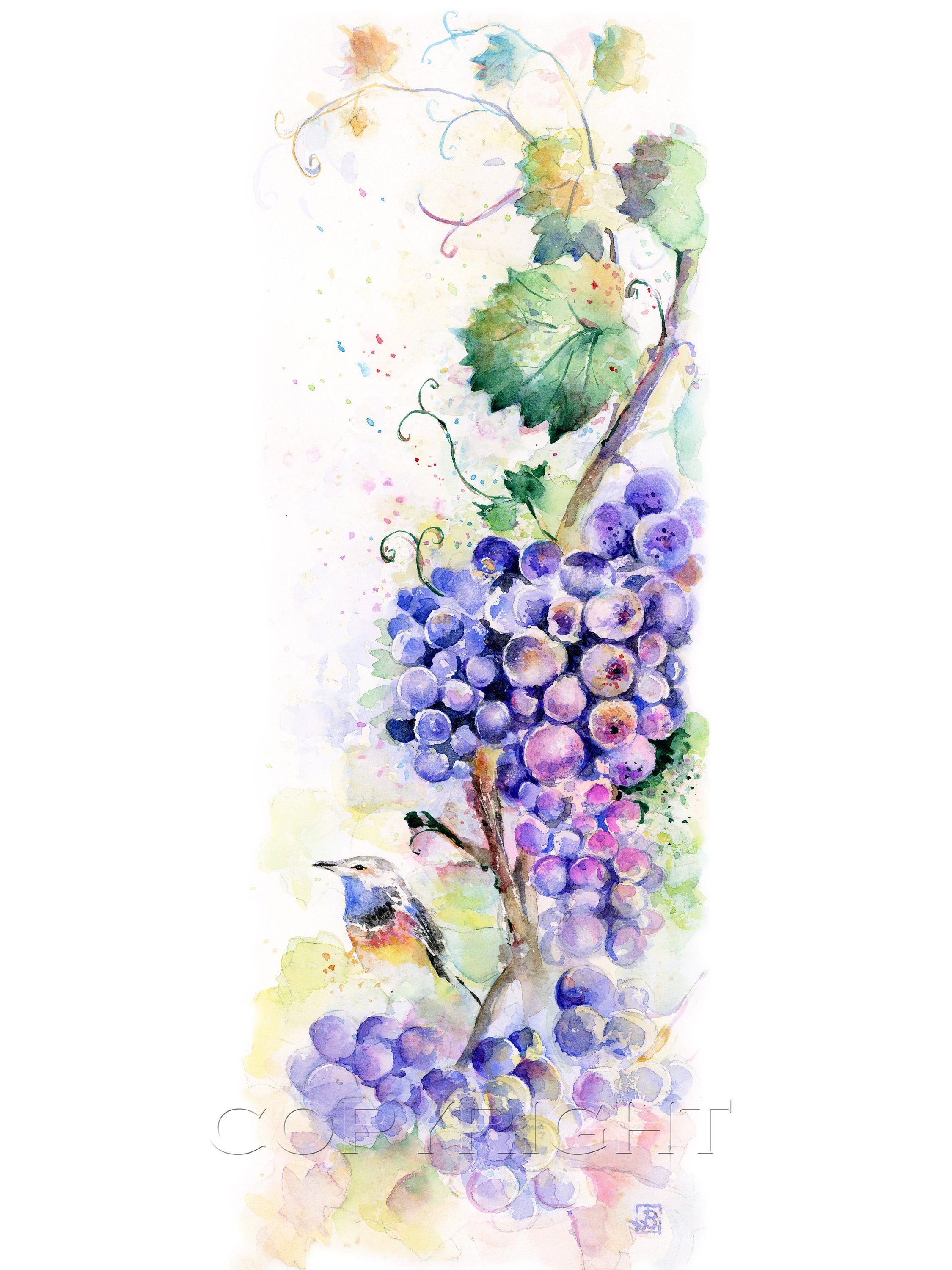 GRAPES Print Grapes Vines Watercolor Painting Bobapainting - Etsy