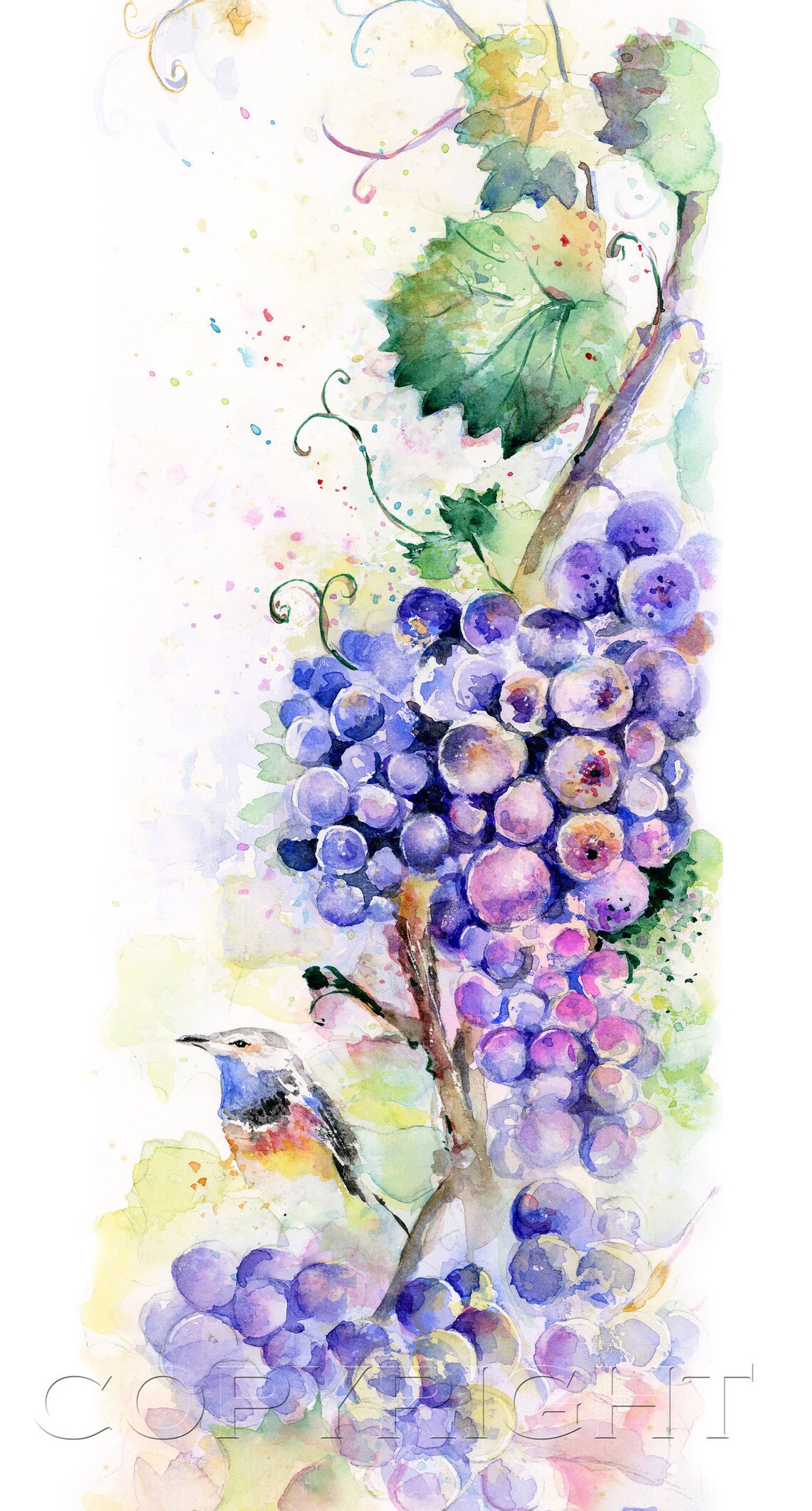 GRAPES Print Grapes Vines Watercolor Painting Bobapainting | Etsy