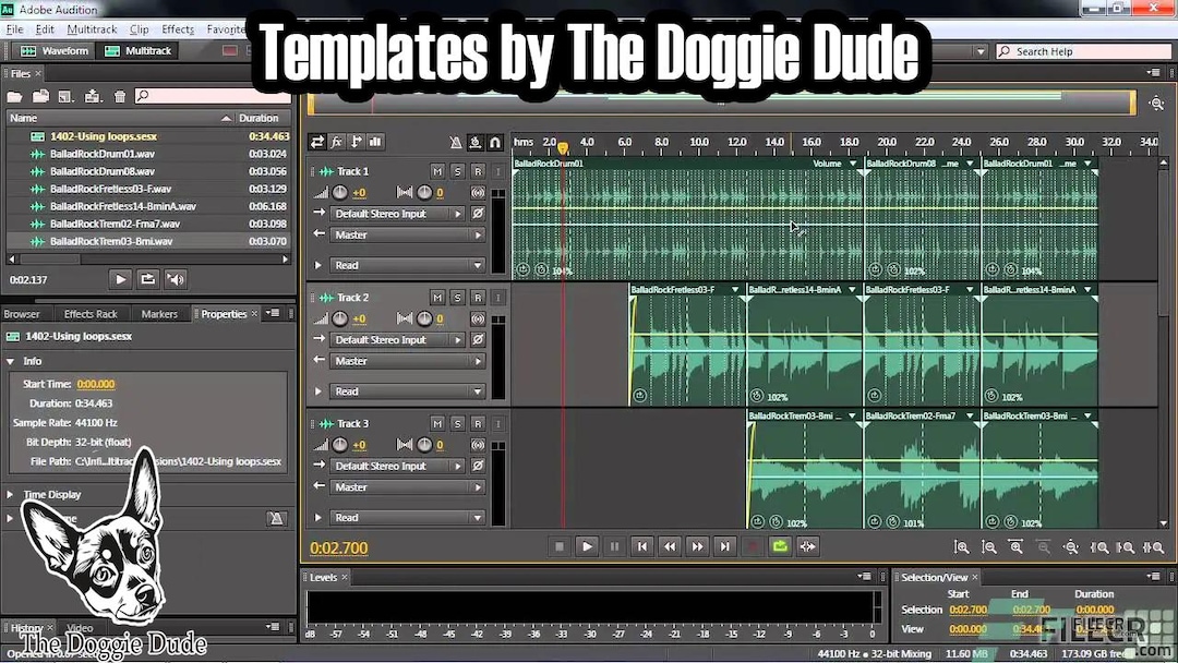Adobe Audition Podcast/recording Template - Etsy