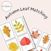 Autumn Watercolor Leaves Matching Activity for Preschoolers - Etsy