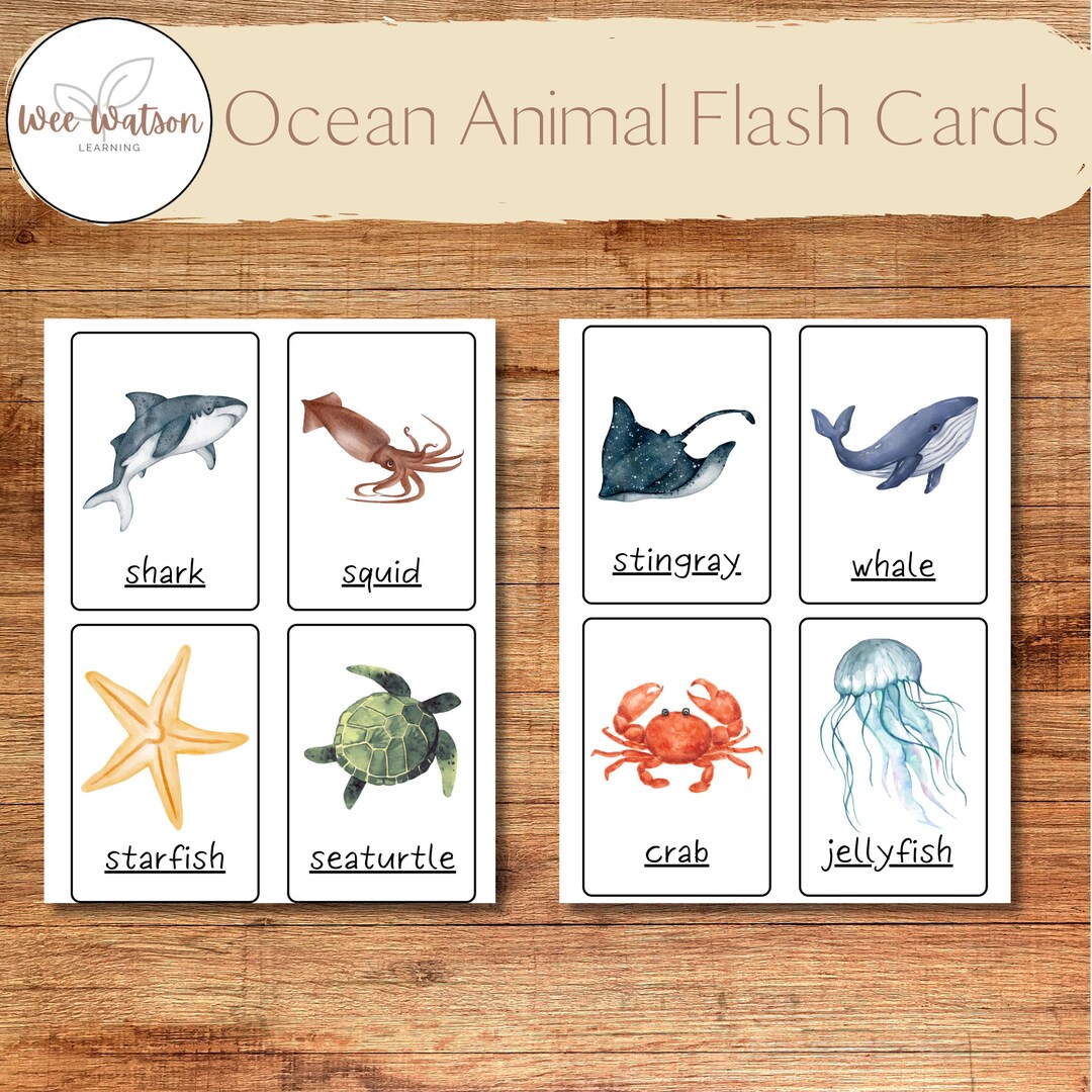 Ocean Animal Flash Cards | Printable Sea Creatures | Toddler Learning ...