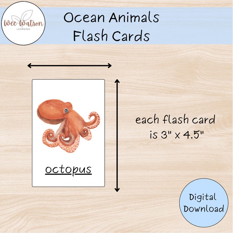Ocean Animal Flash Cards | Printable Sea Creatures | Toddler Learning ...