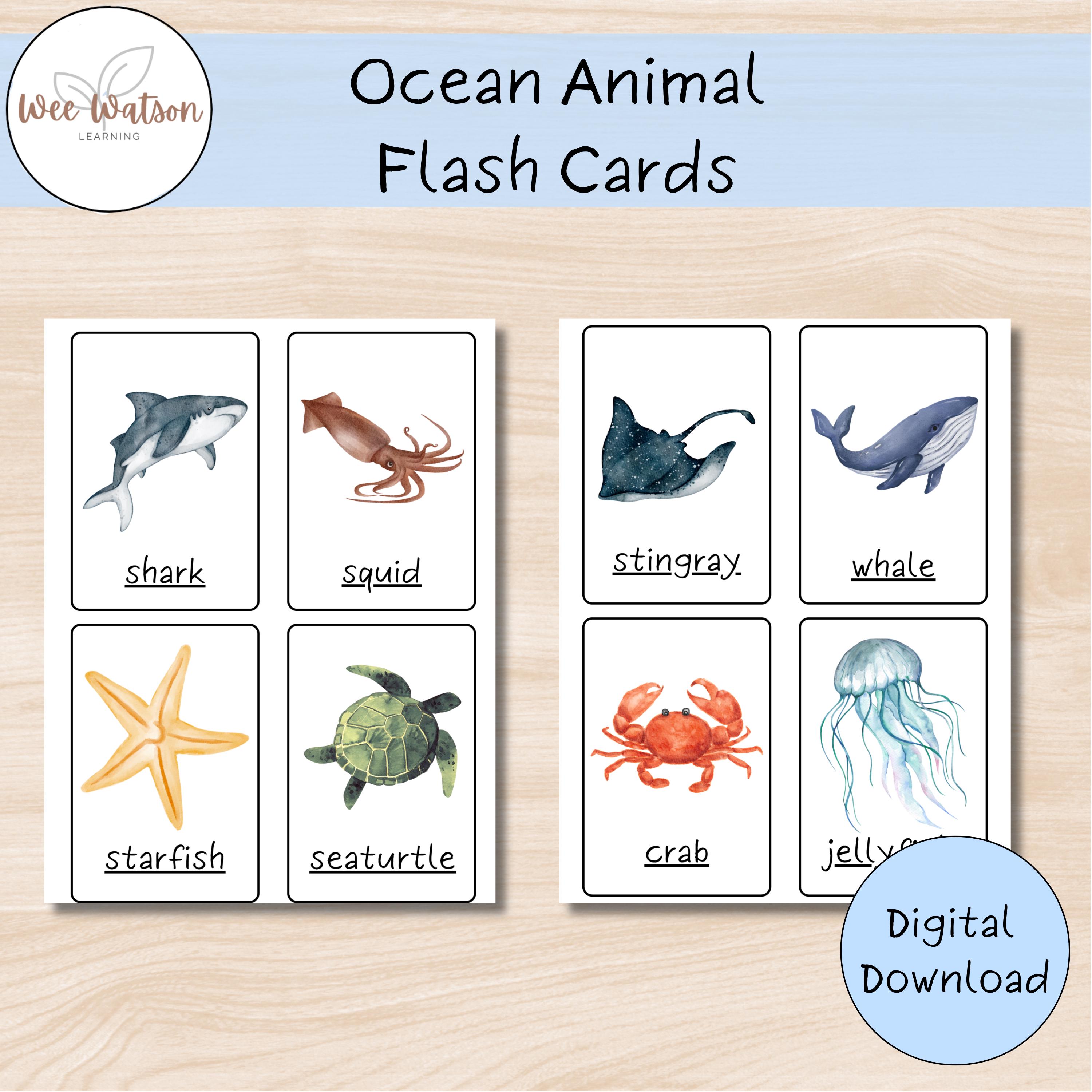 Ocean Animal Flash Cards | Printable Sea Creatures | Toddler Learning ...