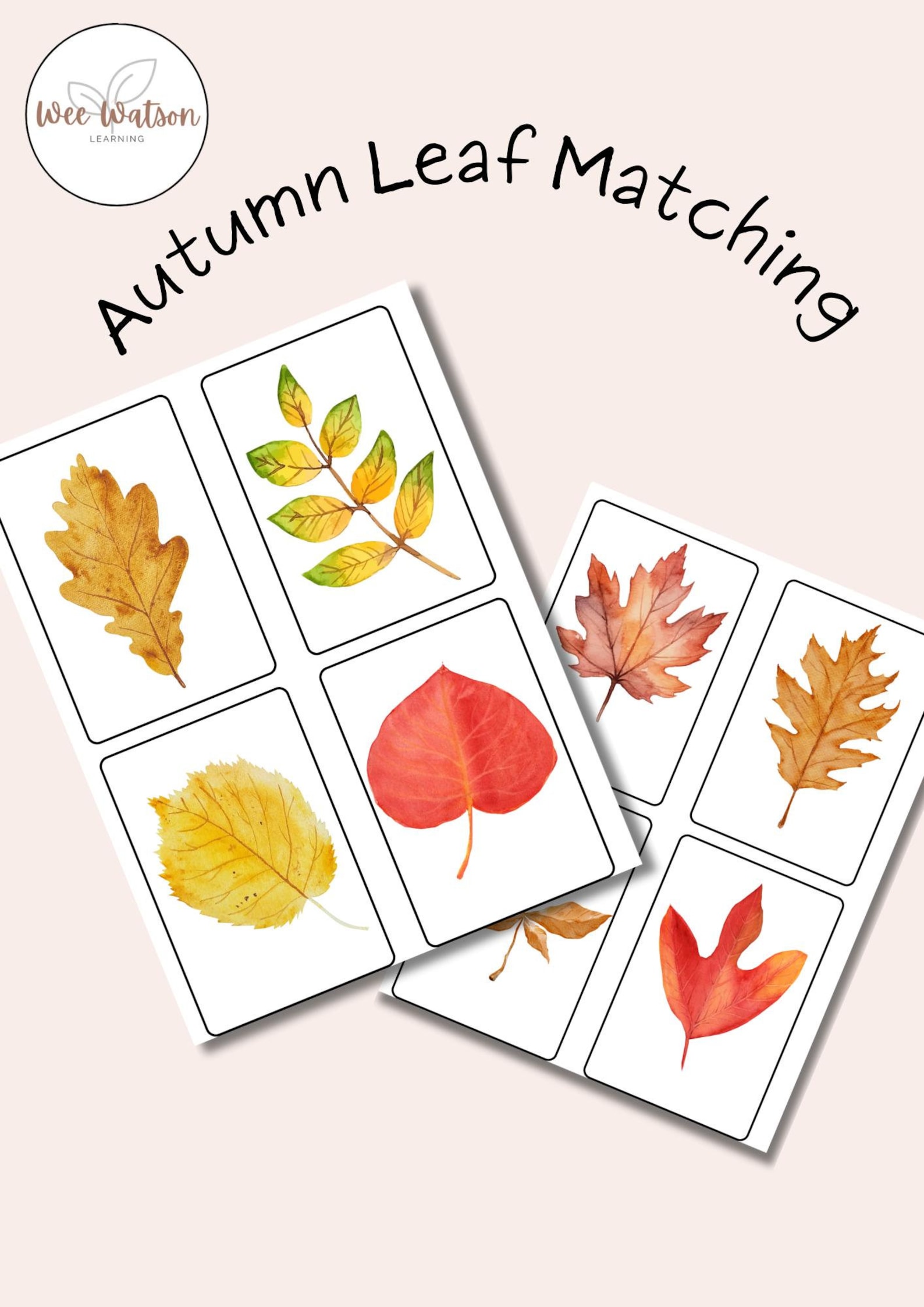 Autumn Watercolor Leaves Matching Activity for Preschoolers - Etsy