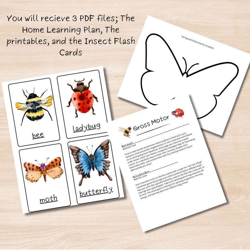 Toddler Insect & Spider Lesson Plan | 4-week Home Learning | Printable ...