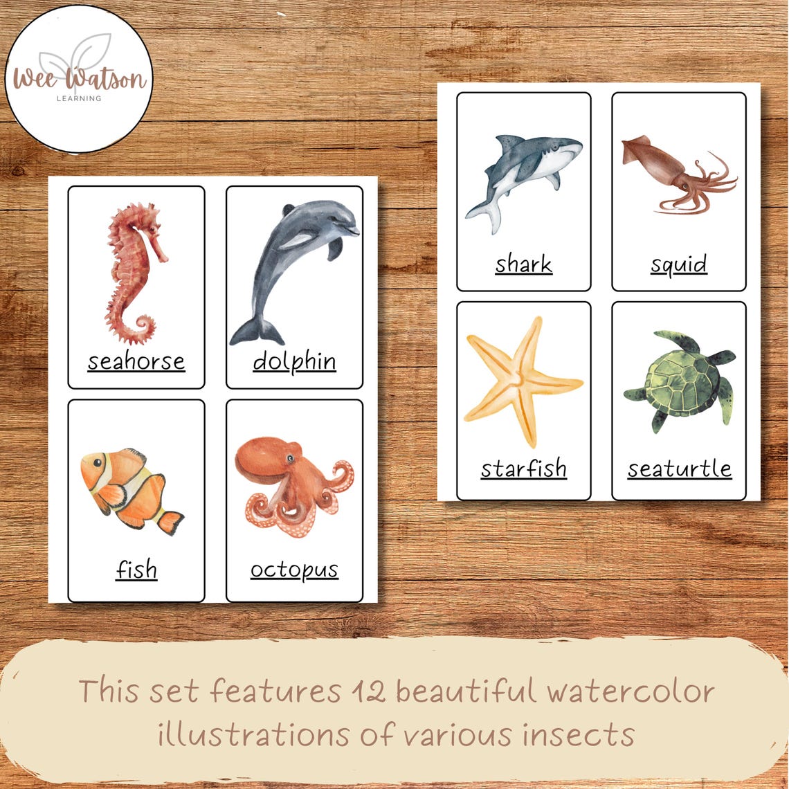 Ocean Animal Flash Cards | Printable Sea Creatures | Toddler Learning ...