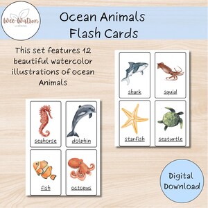 Ocean Animal Flash Cards | Printable Sea Creatures | Toddler Learning ...