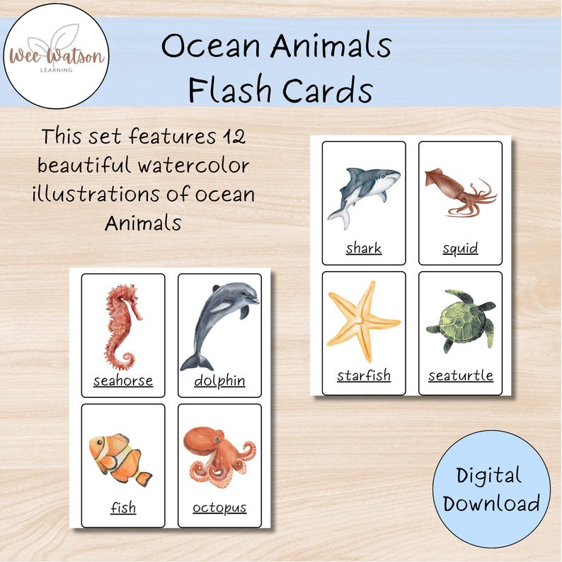 Ocean Animal Flash Cards | Printable Sea Creatures | Toddler Learning ...