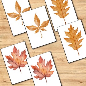 Autumn Watercolor Leaves Matching Activity for Preschoolers - Etsy