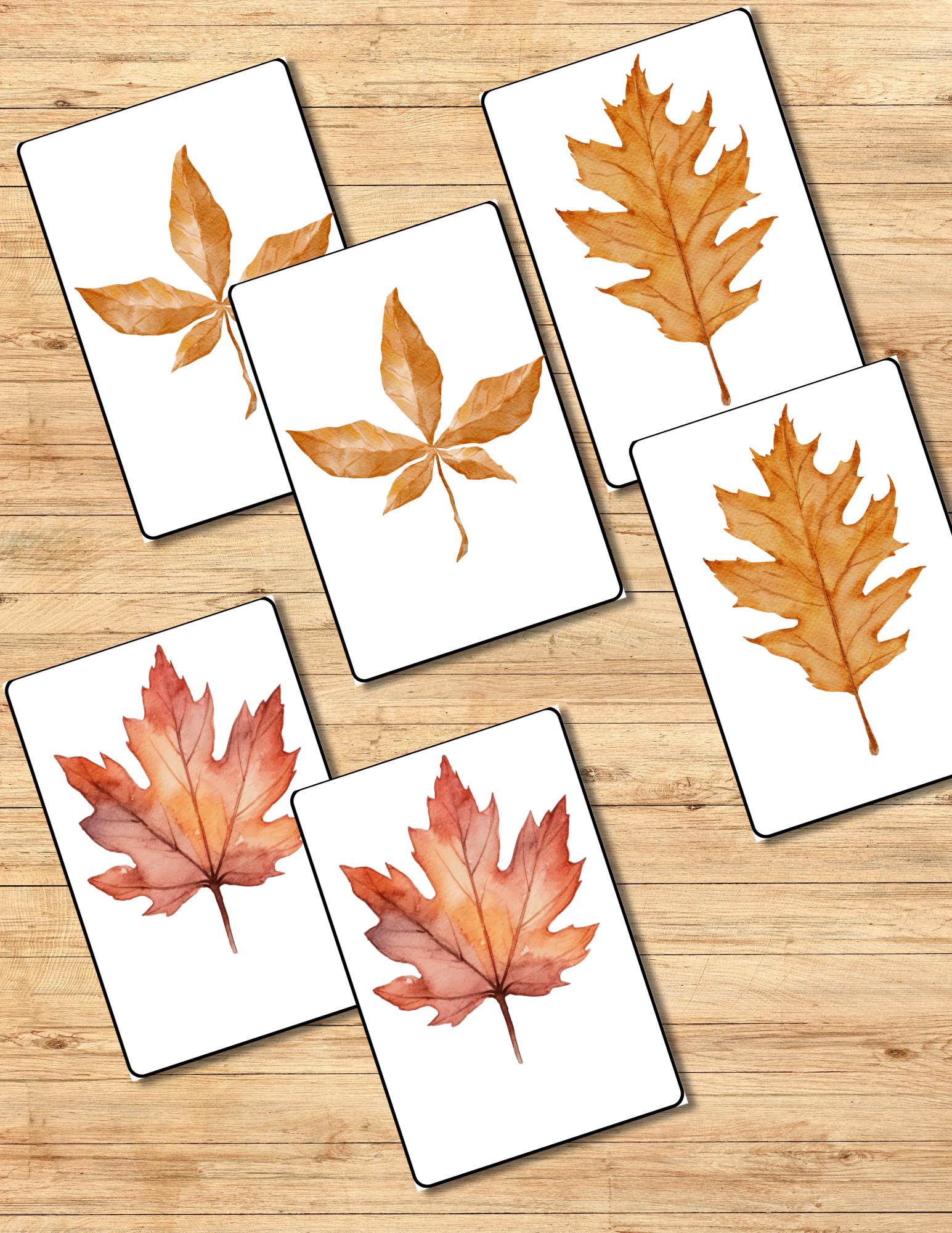 Autumn Watercolor Leaves Matching Activity for Preschoolers - Etsy