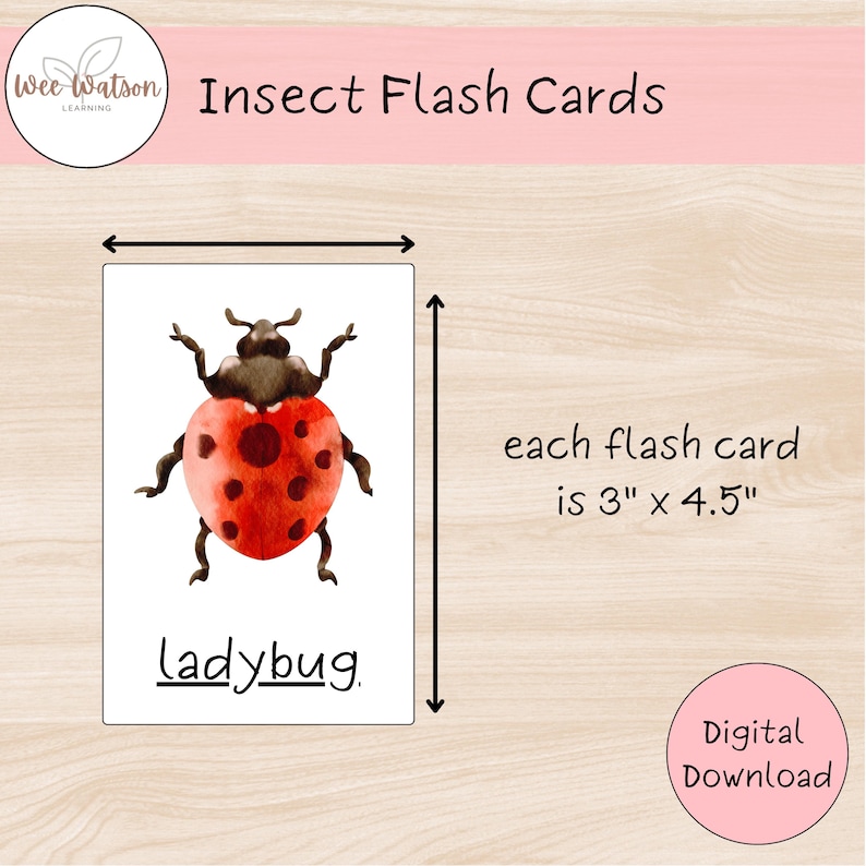 Insect Flash Cards Printable Digital Download | Bug Learning Cards for ...