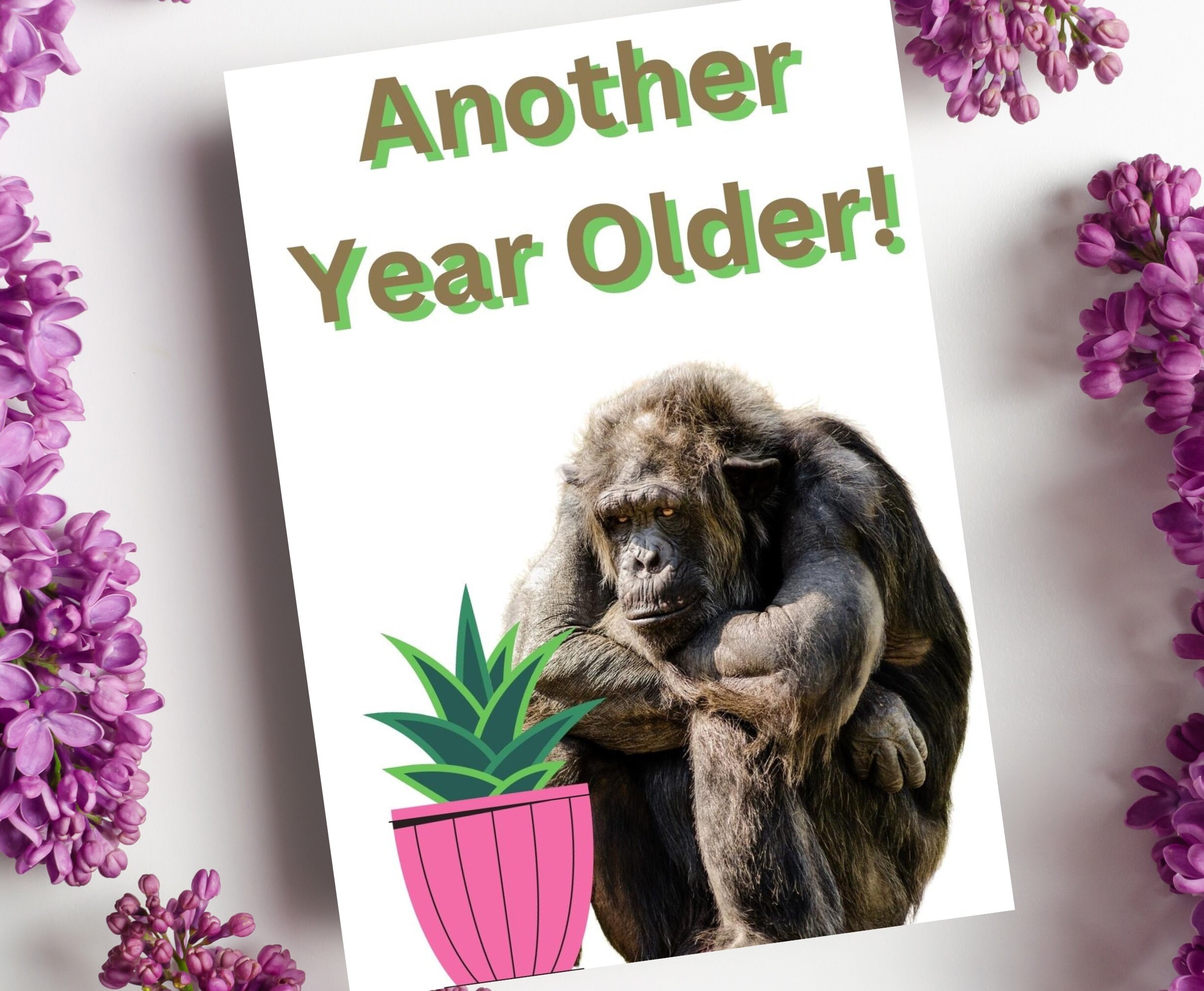 Another Year Older Birthday Card Chimpanzee Greeting Card - Etsy UK