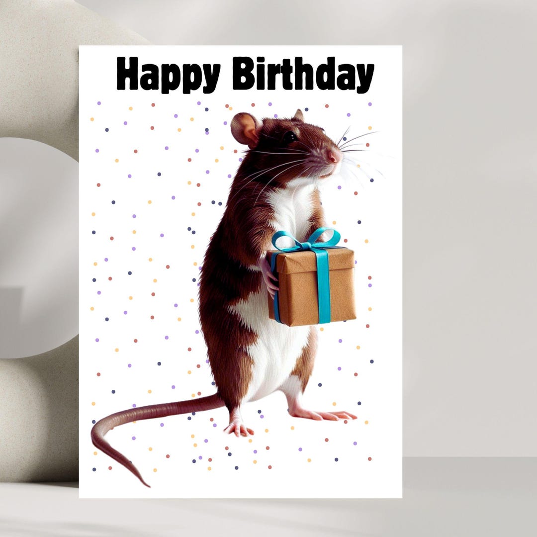 Rat Birthday Card, Gift for Rat Lover, Eco Friendly - Etsy