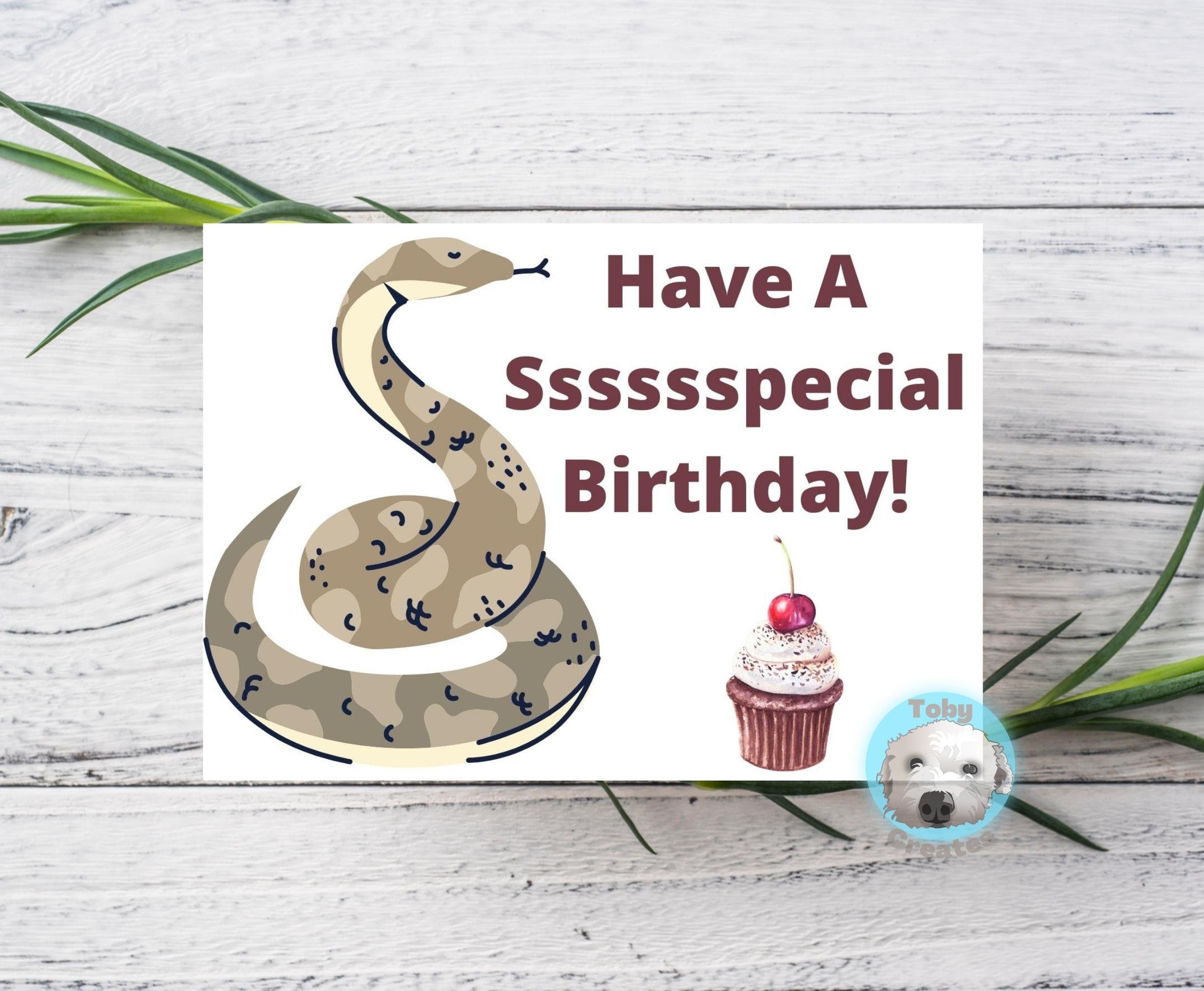 Funny Snake Birthday Card Snake Lover Greeting Card Special - Etsy