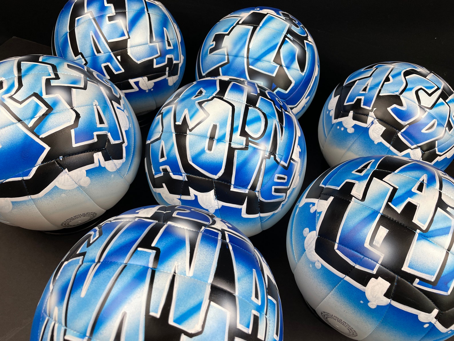 Custom Volleyball Hand Painted Ball Unique Personalized Sports - Etsy