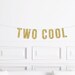 Two Cool Banner / Boy's Second Birthday Party Sign / 2nd | Etsy