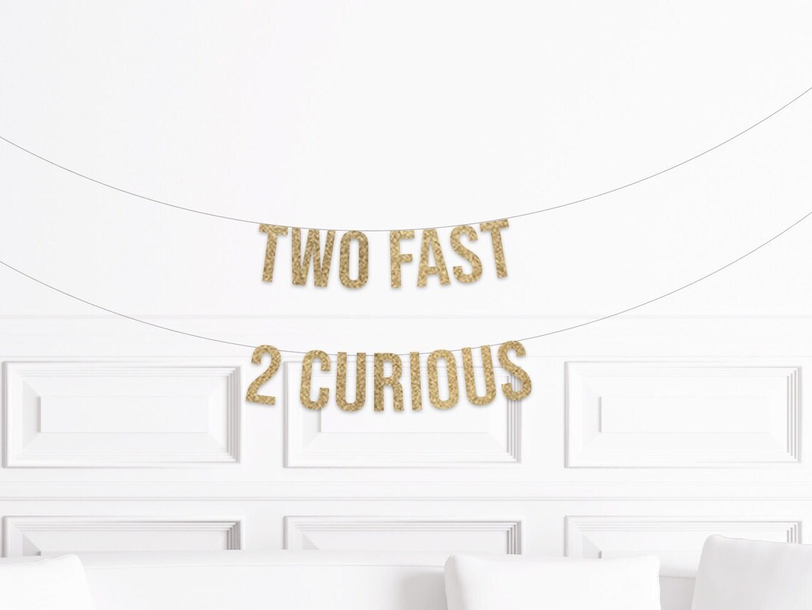 Two Fast 2 Curious Banner Car Themed 2nd Birthday - Etsy
