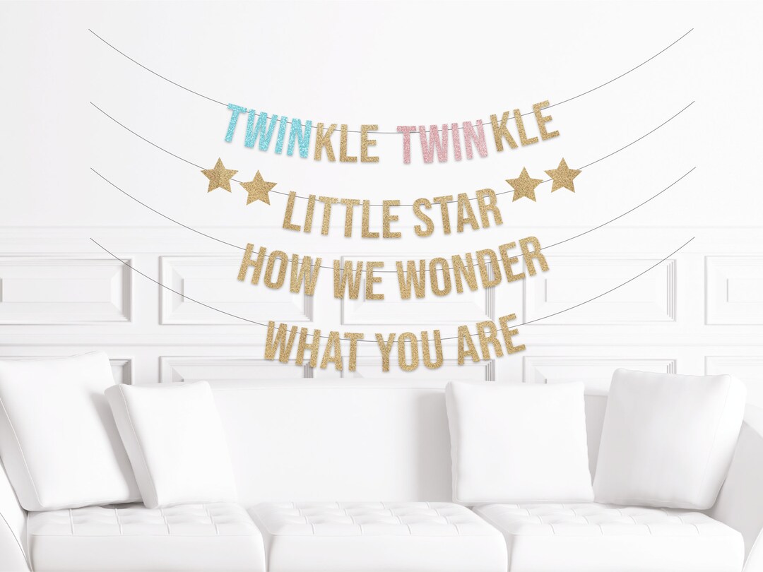 Twin Gender Reveal Decorations, Twinkle Twinkle Little Star Banner for ...