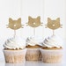 Owl Cupcake Toppers, Owl Themed Baby Shower Decorations, Owl 1st ...