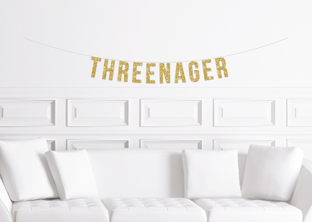 Funny 3rd Birthday Decorations, Threenager Banner, Sassy Third Birthday ...