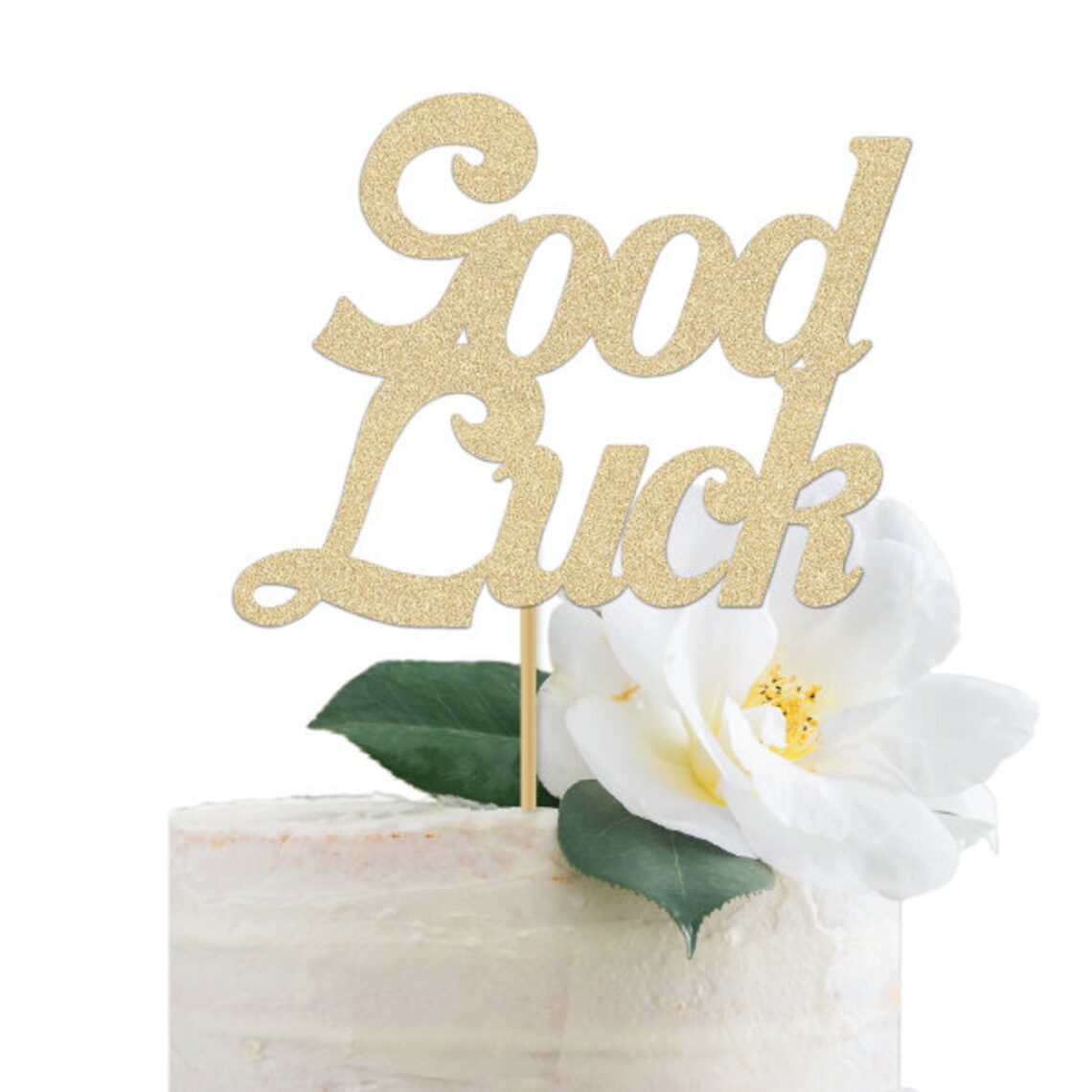 Good Luck Cake Topper / Farewell Party Decoration / Retirement - Etsy