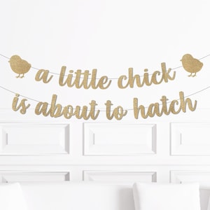 Spring Baby Shower Decorations, A Little Chick is About to Hatch Banner ...