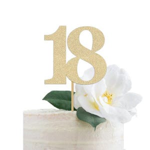 18th Birthday Party Supplies Number 18 Cake Topper - Etsy