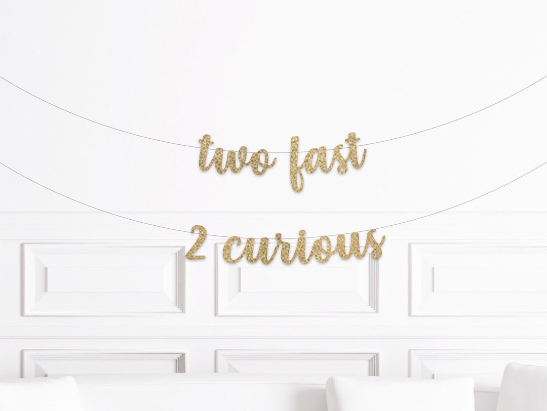 Two Fast 2 Curious Banner, Car Themed 2nd Birthday Decorations, Two ...