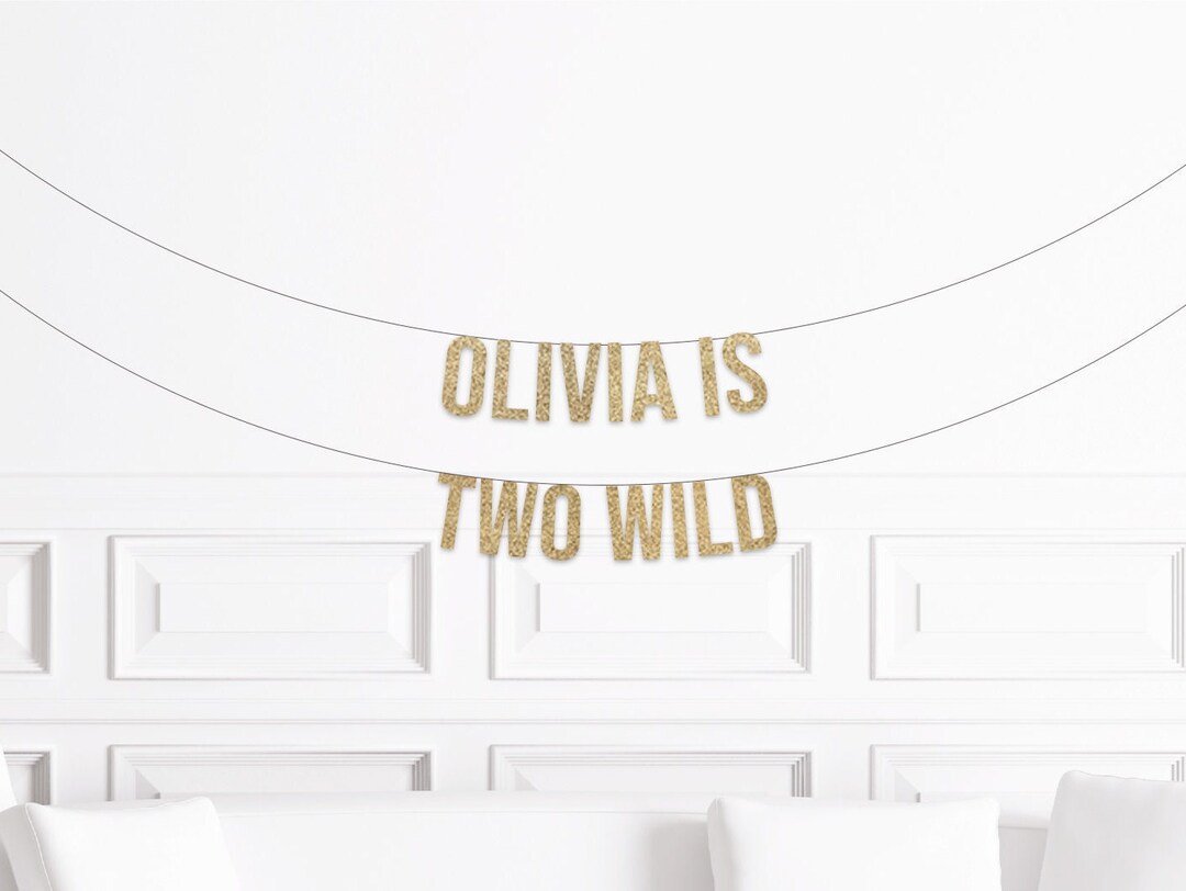 Custom Two Wild Banner, Two Wild Decorations, 2nd Birthday Party ...